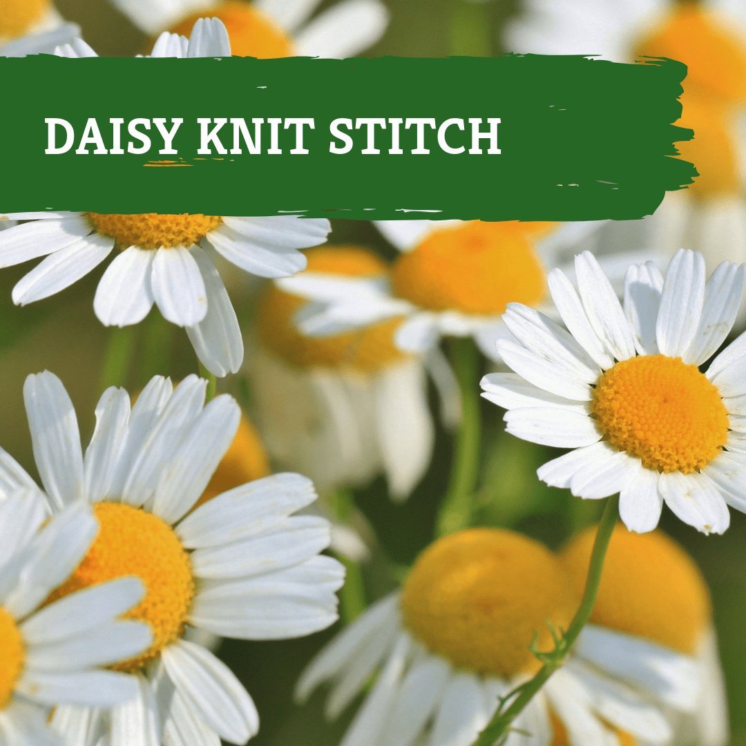 Knit Daisy Stitch Tutorial | Darn Good Yarn