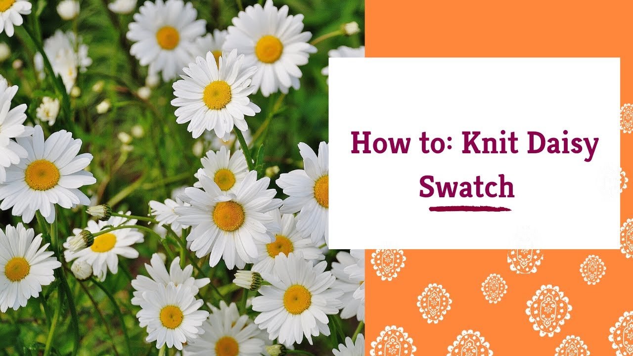Knit Daisy Stitch | Darn Good Yarn