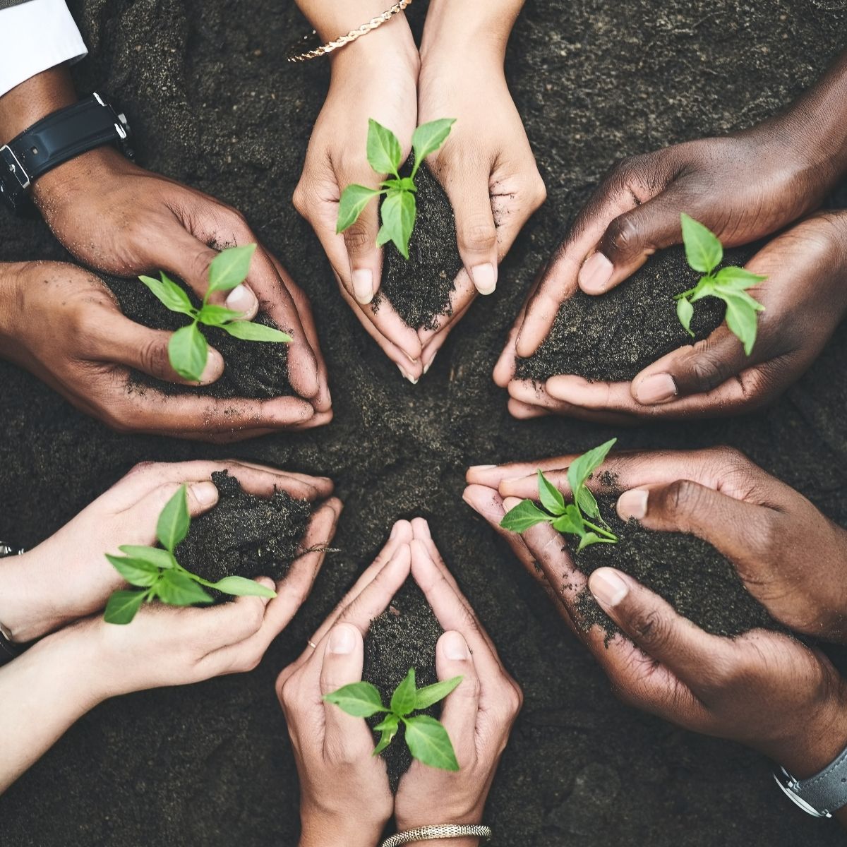 The 3 E’s of Sustainability Explained | Darn Good Yarn