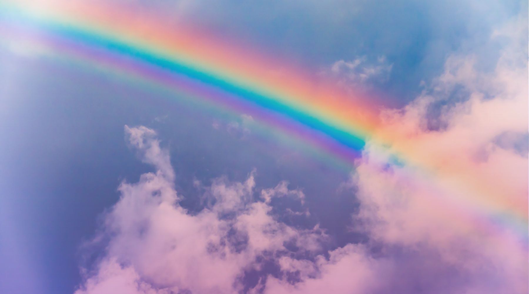 Organic Womens Clothing - Quality Yarn - Home Goods | Darn Good Yarn